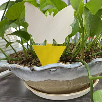 Farm Lawn Garden Yellow Glue Sticky Fly Insect Termite Trap Inserts ...