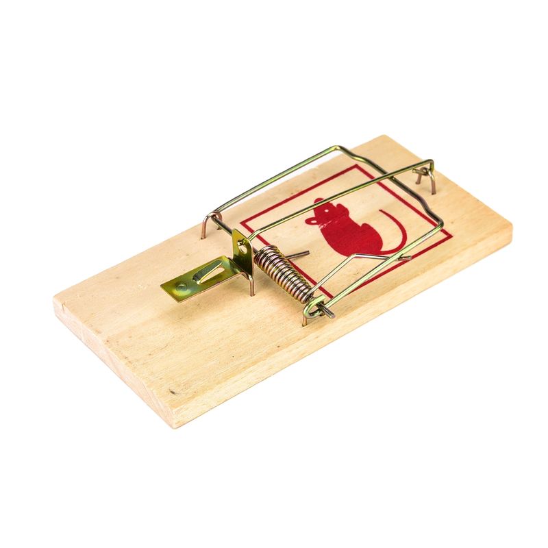 Effective Reusable Wooden Mouse Traps for Home Garden Pest Control Time ...
